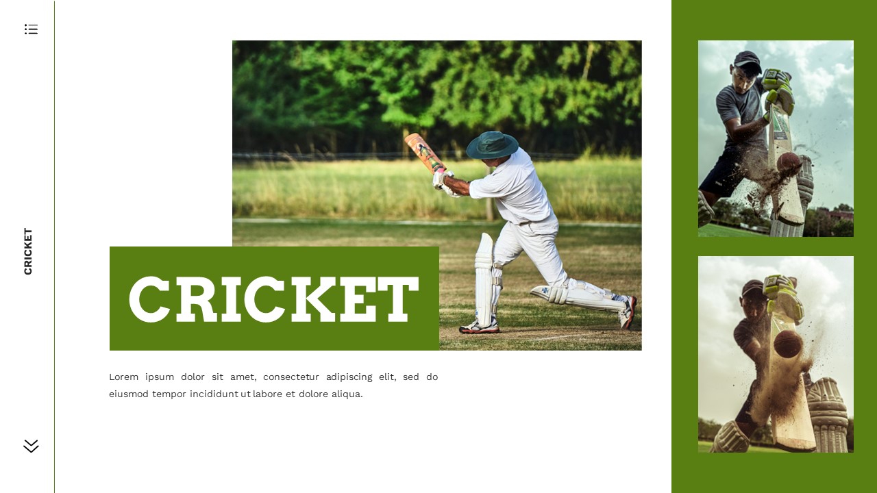 Cricket - Cricket Google Slide Templates, Presentation Templates ...
