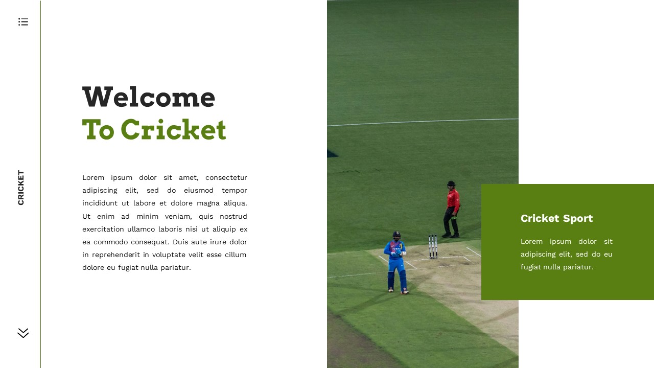 Cricket - Cricket Google Slide Templates, Presentation Templates ...