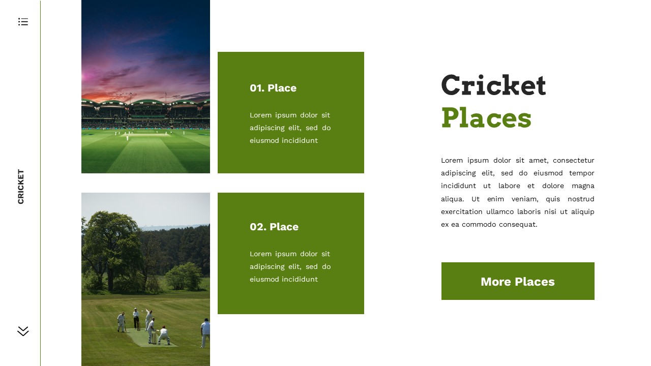 Cricket - Cricket Google Slide Templates, Presentation Templates ...