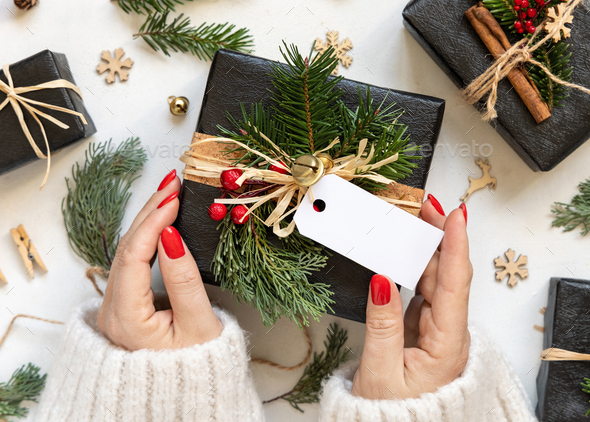Hands with Christmas present with horizontal blank gift tag, with fir ...