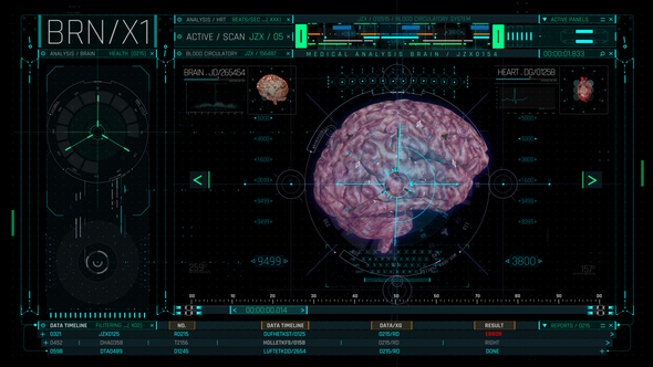 HUD Medical Brain, After Effects Project Files | VideoHive