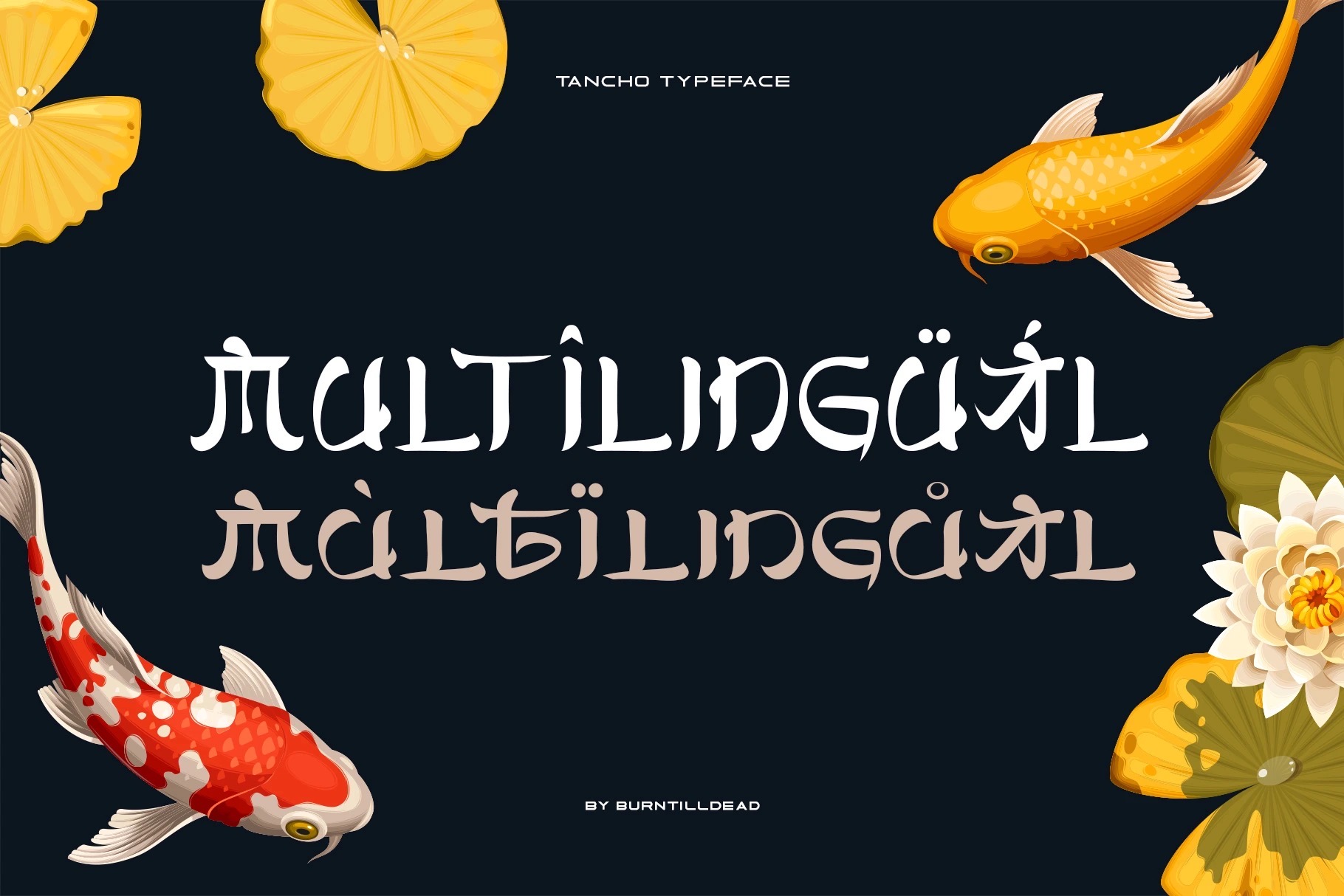 Tancho, Fonts | GraphicRiver