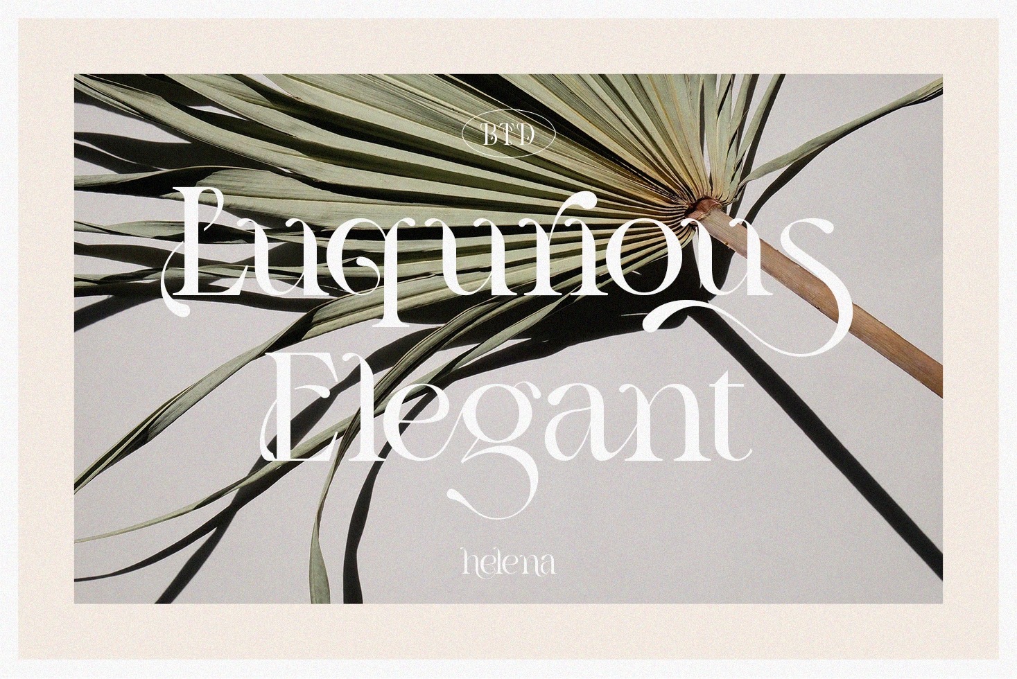 Helena, Fonts | GraphicRiver