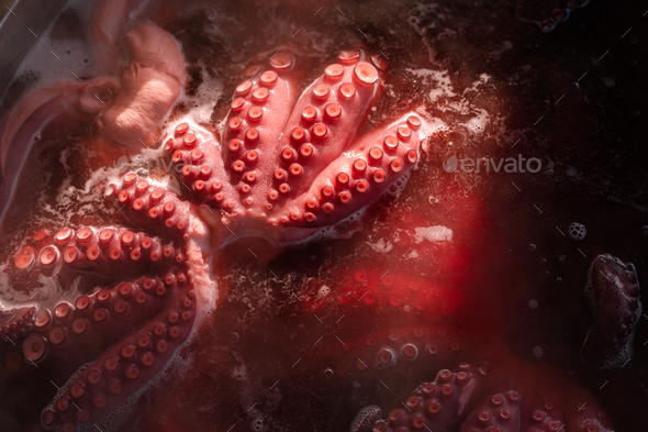 Octopus boiling in a restaurant's boiling pot Stock Photo by Meniphoto