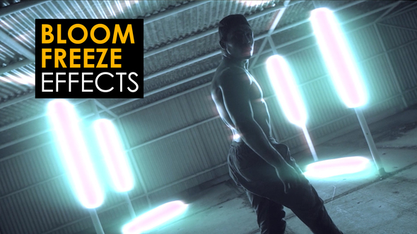Bloom Freeze Effects | After Effects, After Effects Project Files ...