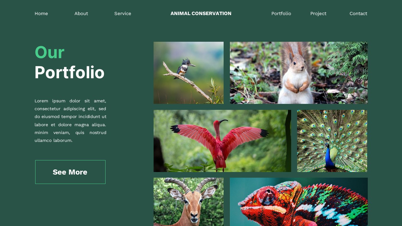 Animal Conservation - Animal Powerpoint Templates, Presentation Templates
