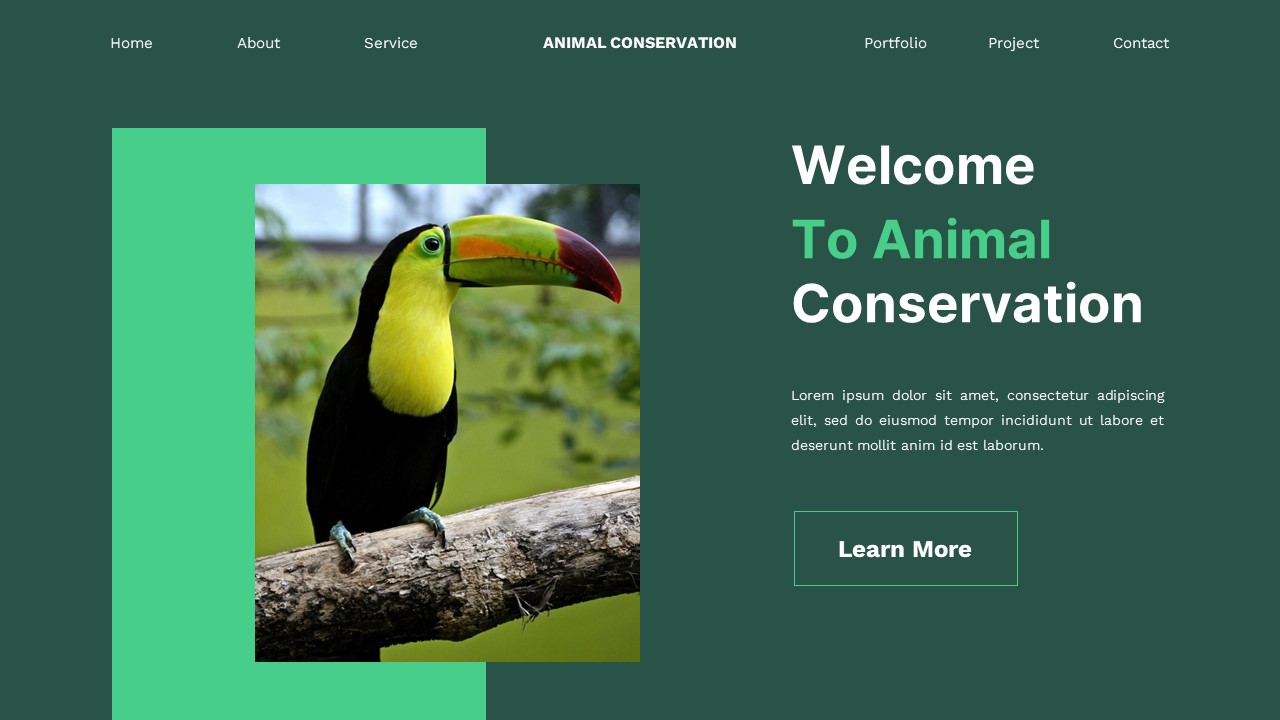 Animal Conservation - Animal Google Slide Templates, Presentation Templates