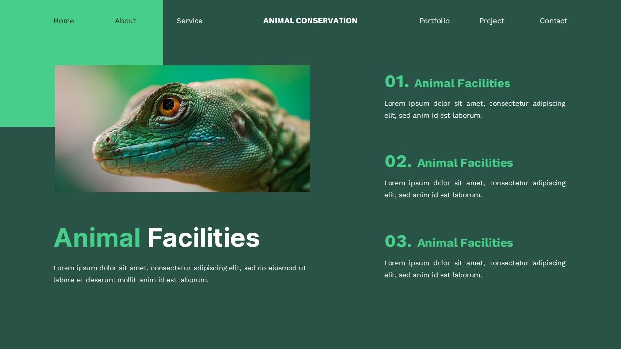 Animal Conservation - Animal Keynote Templates, Presentation Templates