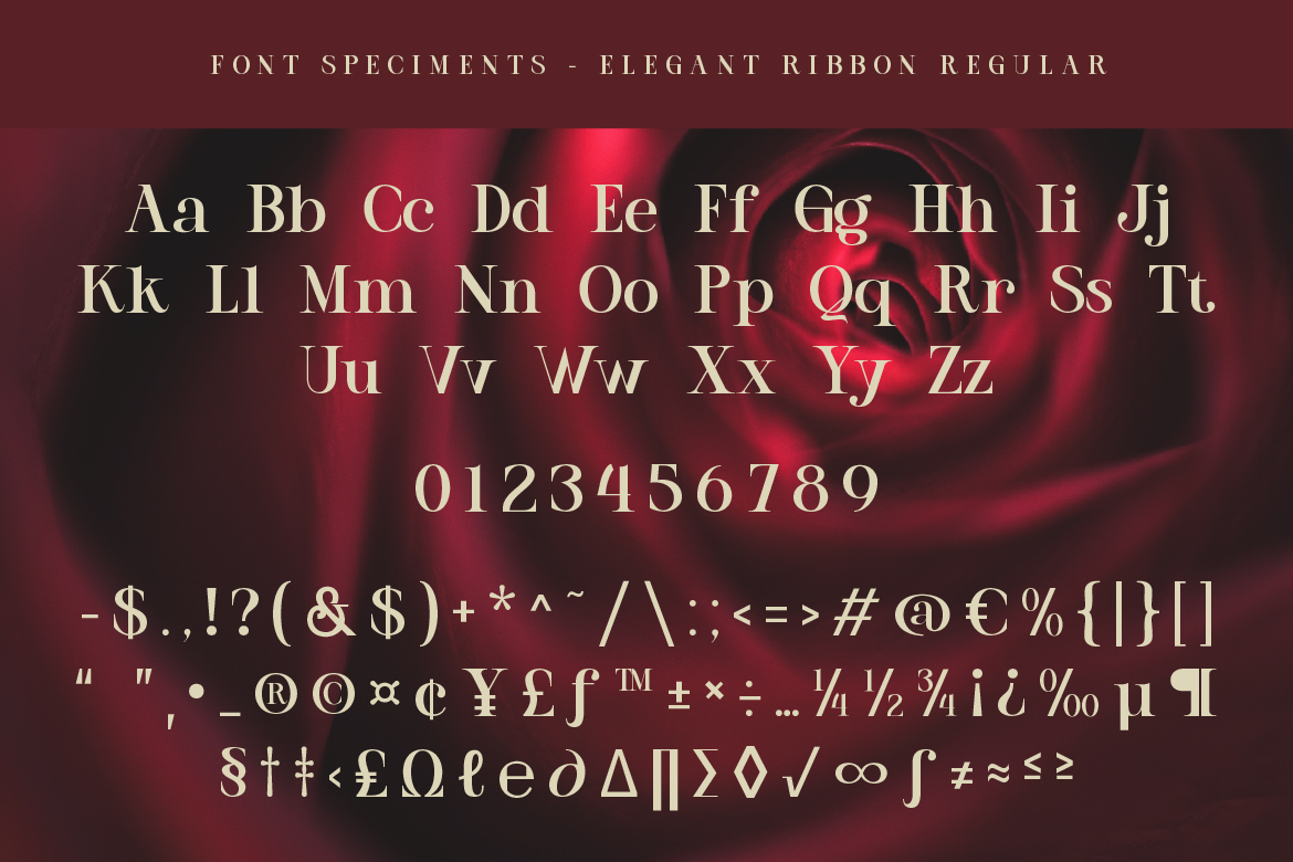 Elegant Ribbon, Fonts | GraphicRiver