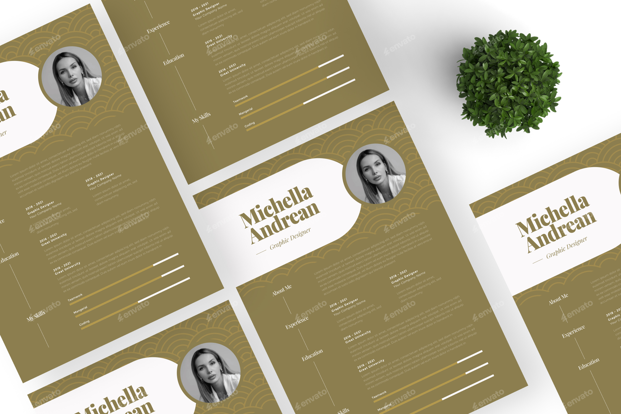 Classic Woman - Resume, Print Templates | GraphicRiver