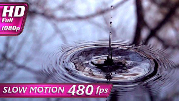 Spring Drops, Stock Footage | VideoHive