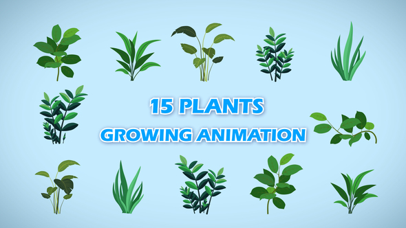 15 Growing Plants Animation Pack, After Effects Project Files | VideoHive