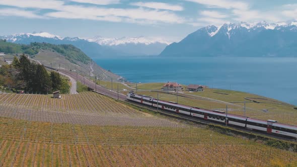 Swiss Train Moves Along a Scenic Railway on a Hillside Near Lake Geneva ...
