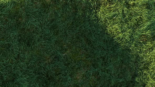 World Map Transformation 4K by Tananchai | VideoHive