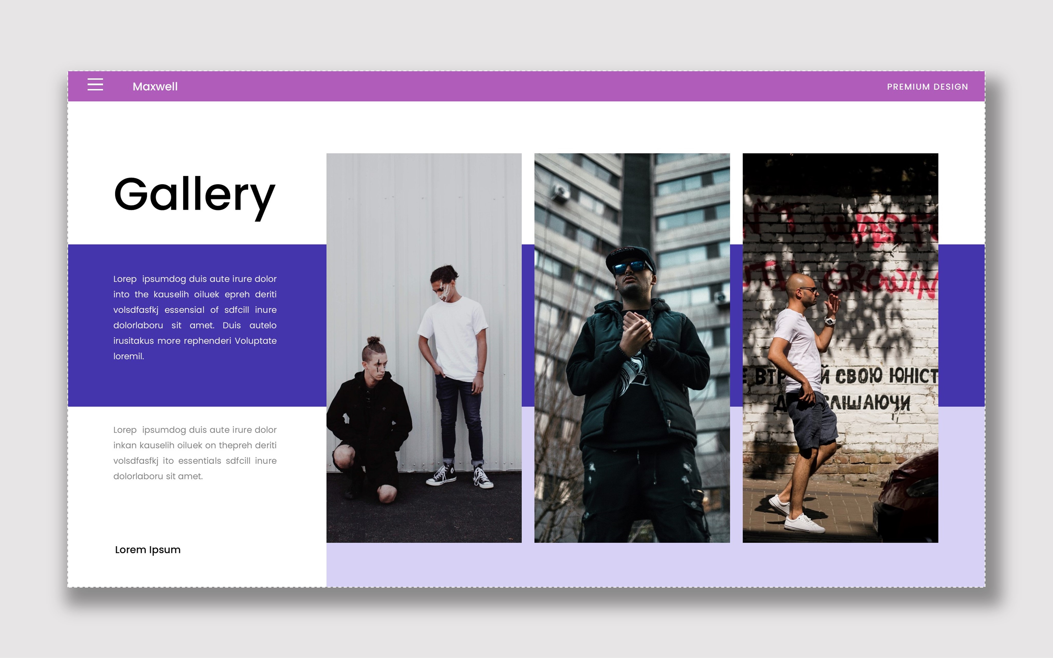 Maxwell-Business Presentation Template, Presentation Templates ...