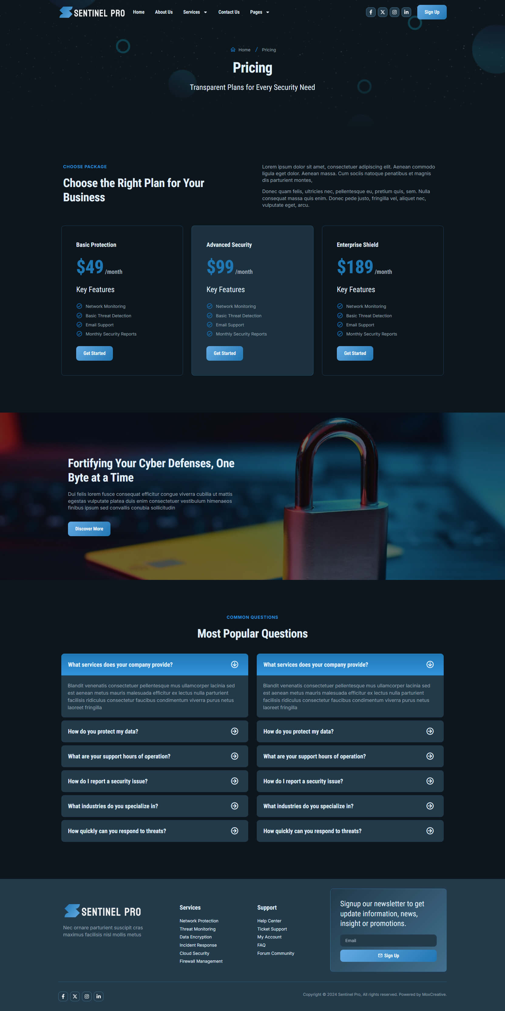 Sentinel - Cyber Security Services Elementor Pro Template Kit by ...