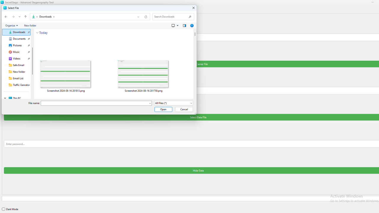 RT SecretStego: Advanced Steganography Tool for Data Privacy and ...