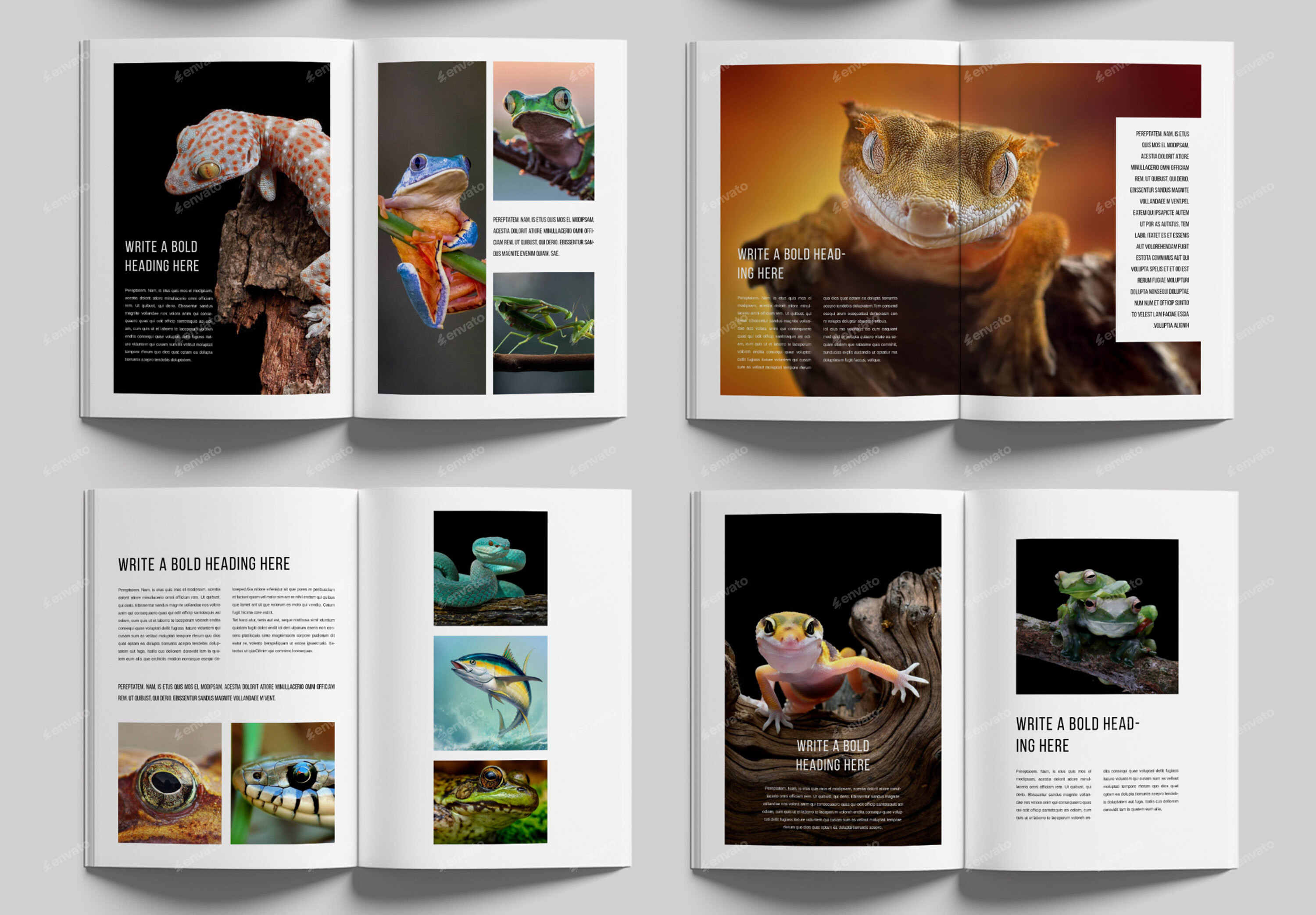 Photo Book Magazine Template Layout, Print Templates | GraphicRiver