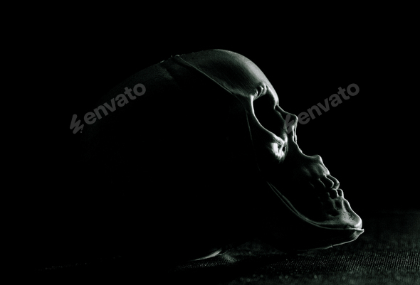 scary human skull horror Halloween Stock Photo by melis82 | PhotoDune