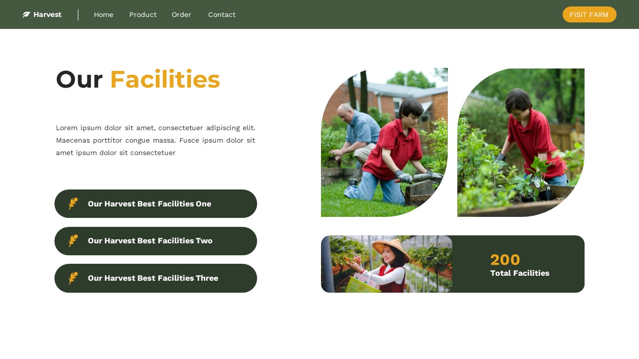 Harvest - Farm Google Slide Templates, Presentation Templates ...