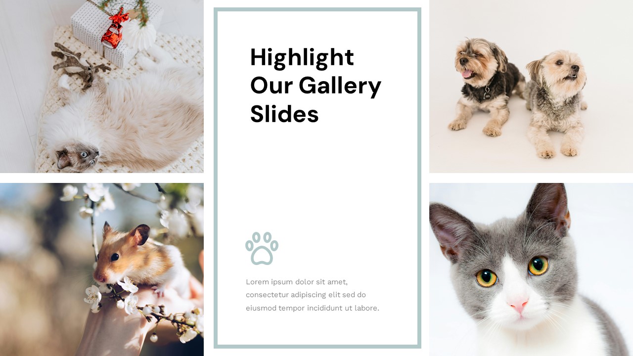 Pawfect - Pet shop PowerPoint Template, Presentation Templates ...