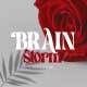 Brain Storm Serif Font, Fonts | GraphicRiver