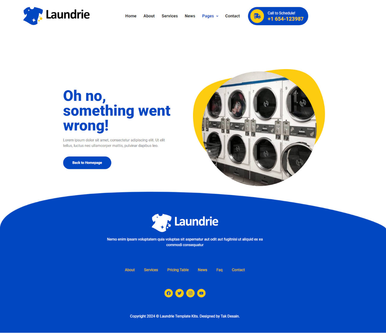 Laundrie - Laundry, Dry Cleaning Services Elementor Template Kit by ...