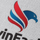 Flying Eagle, Logo Templates | GraphicRiver
