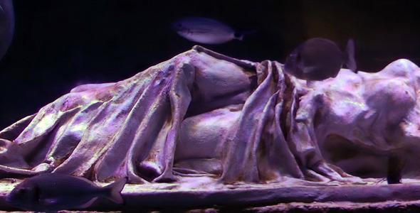 Under The Sea, Stock Footage | VideoHive