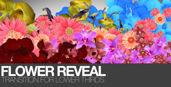 Flower Reveal Transition, Motion Graphics | VideoHive
