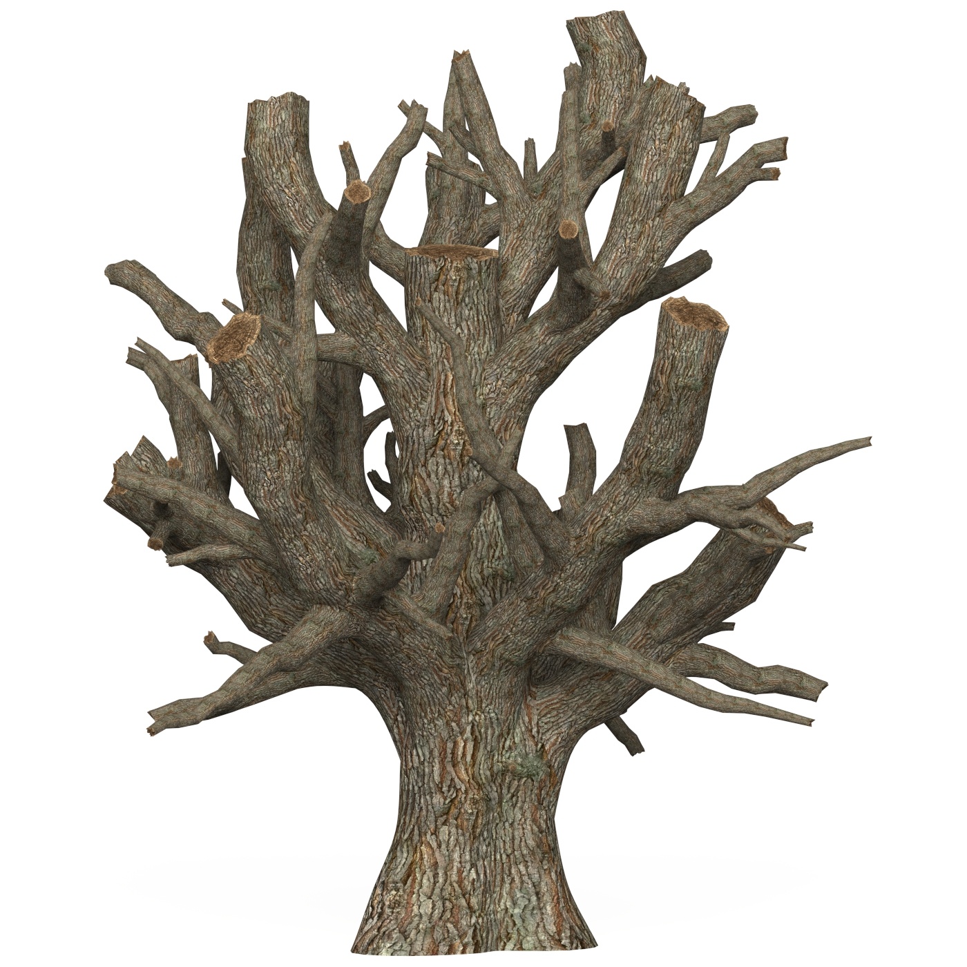 Game Ready Dead Tree 04 by plantworld3d | 3DOcean