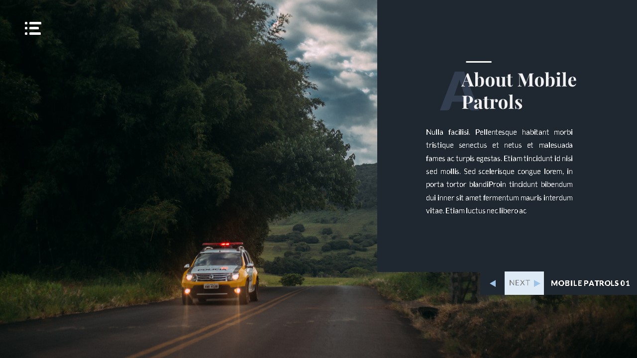 Security Guard Protection PowerPoint Template, Presentation Templates