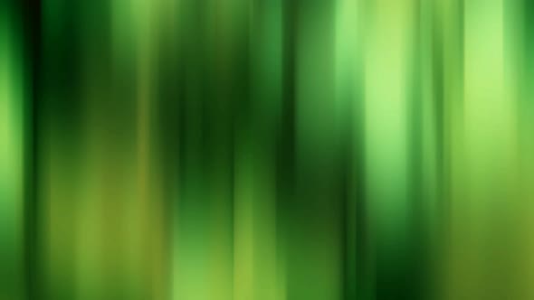 Green color gradient smooth stripes animated background, Motion Graphics