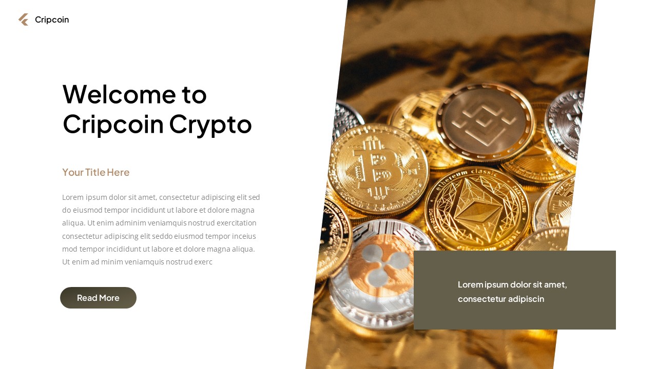 Cripcoin - Crypto PowerPoint Template, Presentation Templates ...