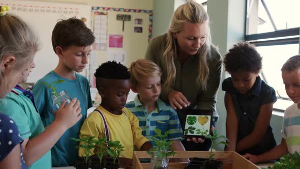 Female teacher teaching about plants in class, Stock Footage | VideoHive