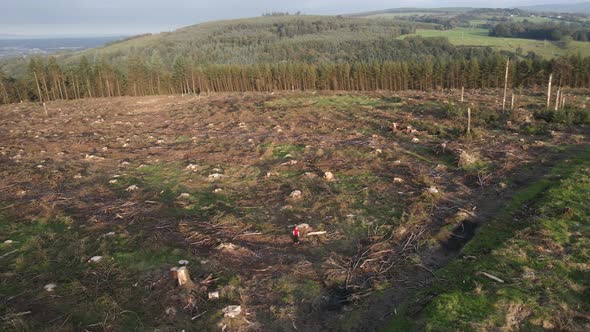 Drone shot of deforestation on a hill in Dublin, Ireland., Stock Footage
