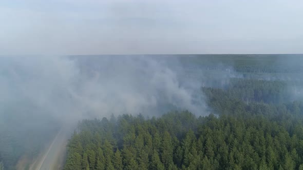 Aerial view of Forest fire 03, Stock Footage | VideoHive