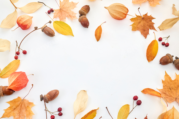 Autumn Leaves and Acorns frame. Flat lay. Top view Stock Photo by vetre