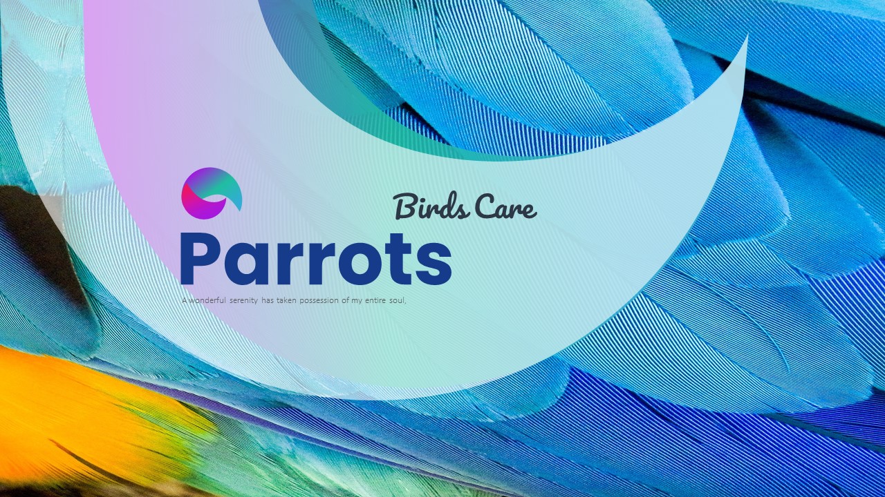 Parrots Google Slides Templates, Presentation Templates | GraphicRiver