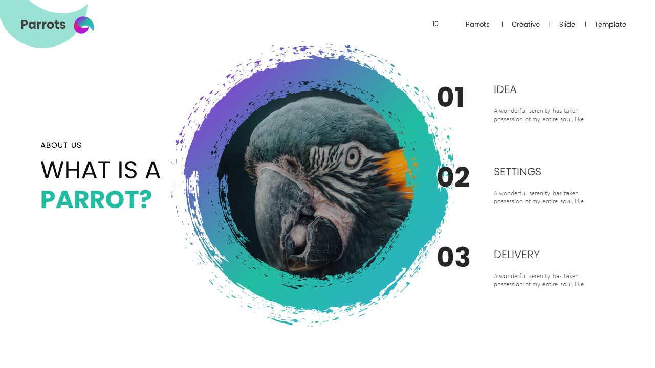Parrots Google Slides Templates, Presentation Templates | GraphicRiver