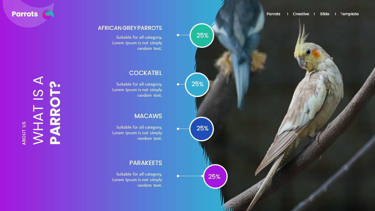 Parrots Google Slides Templates, Presentation Templates | GraphicRiver