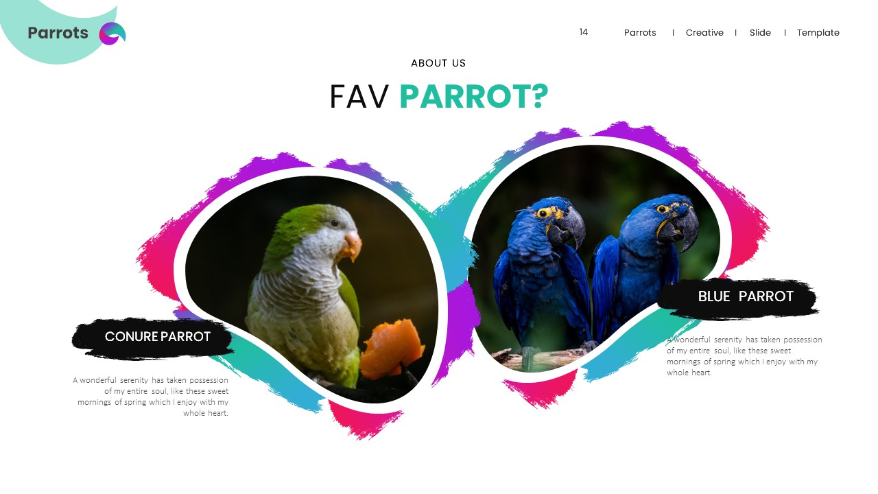 Parrots Google Slides Templates, Presentation Templates | GraphicRiver