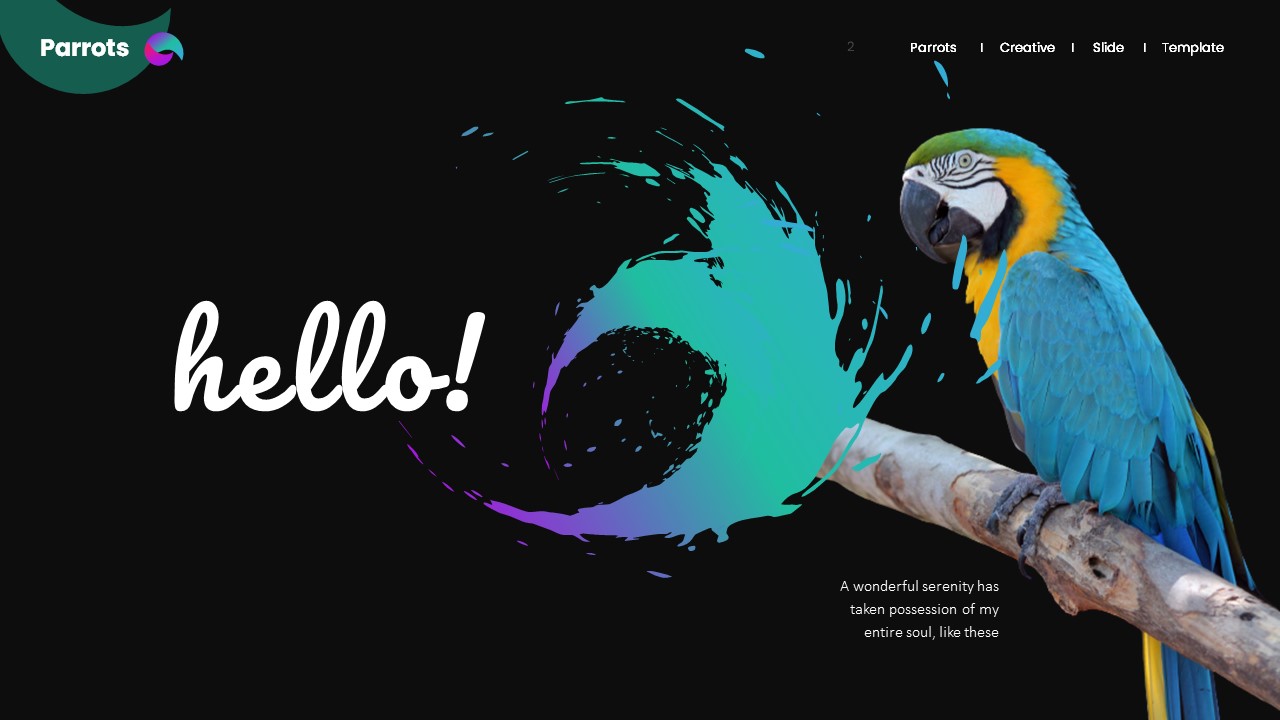 Parrots Google Slides Templates, Presentation Templates | GraphicRiver