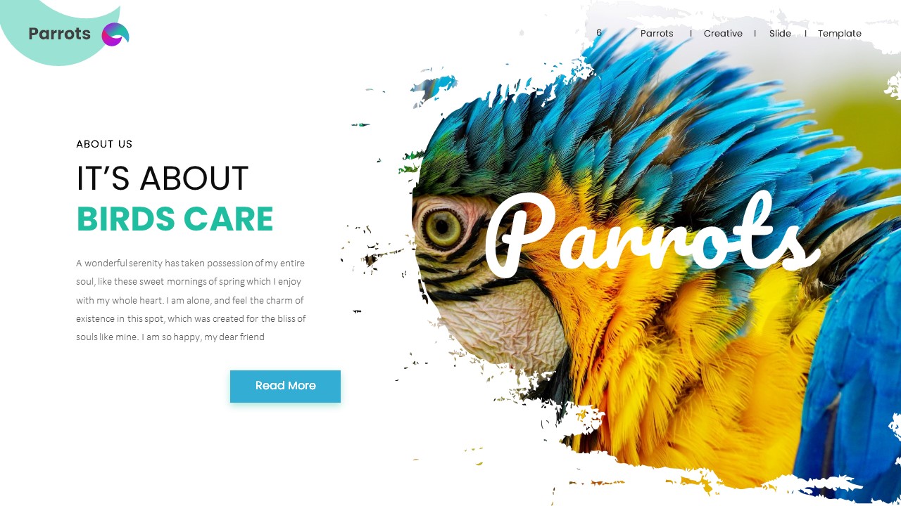 Parrots Google Slides Templates, Presentation Templates | GraphicRiver