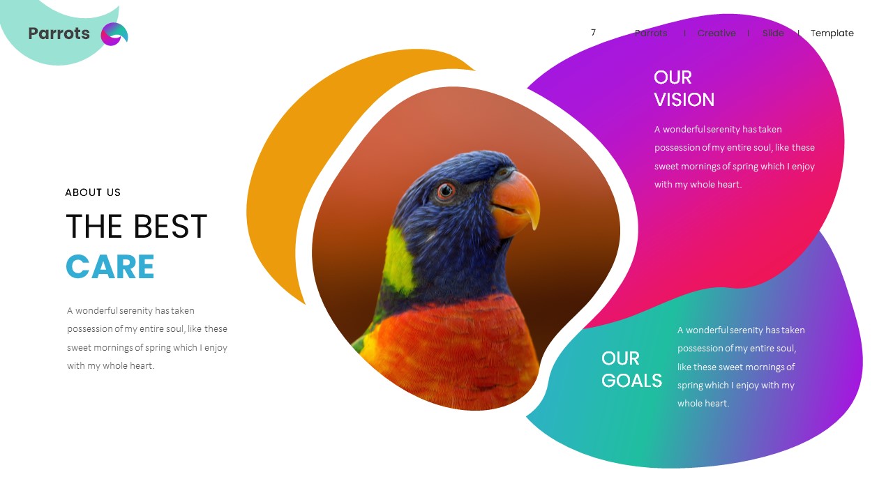 Parrots Google Slides Templates, Presentation Templates | GraphicRiver