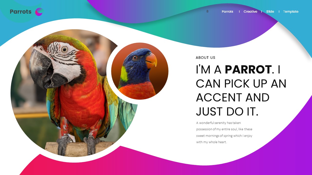 Parrots Google Slides Templates, Presentation Templates | GraphicRiver
