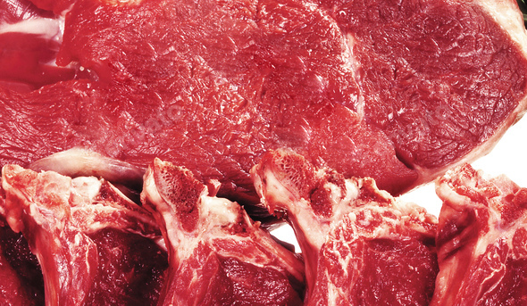 meat background texture Stock Photo by photobalance | PhotoDune