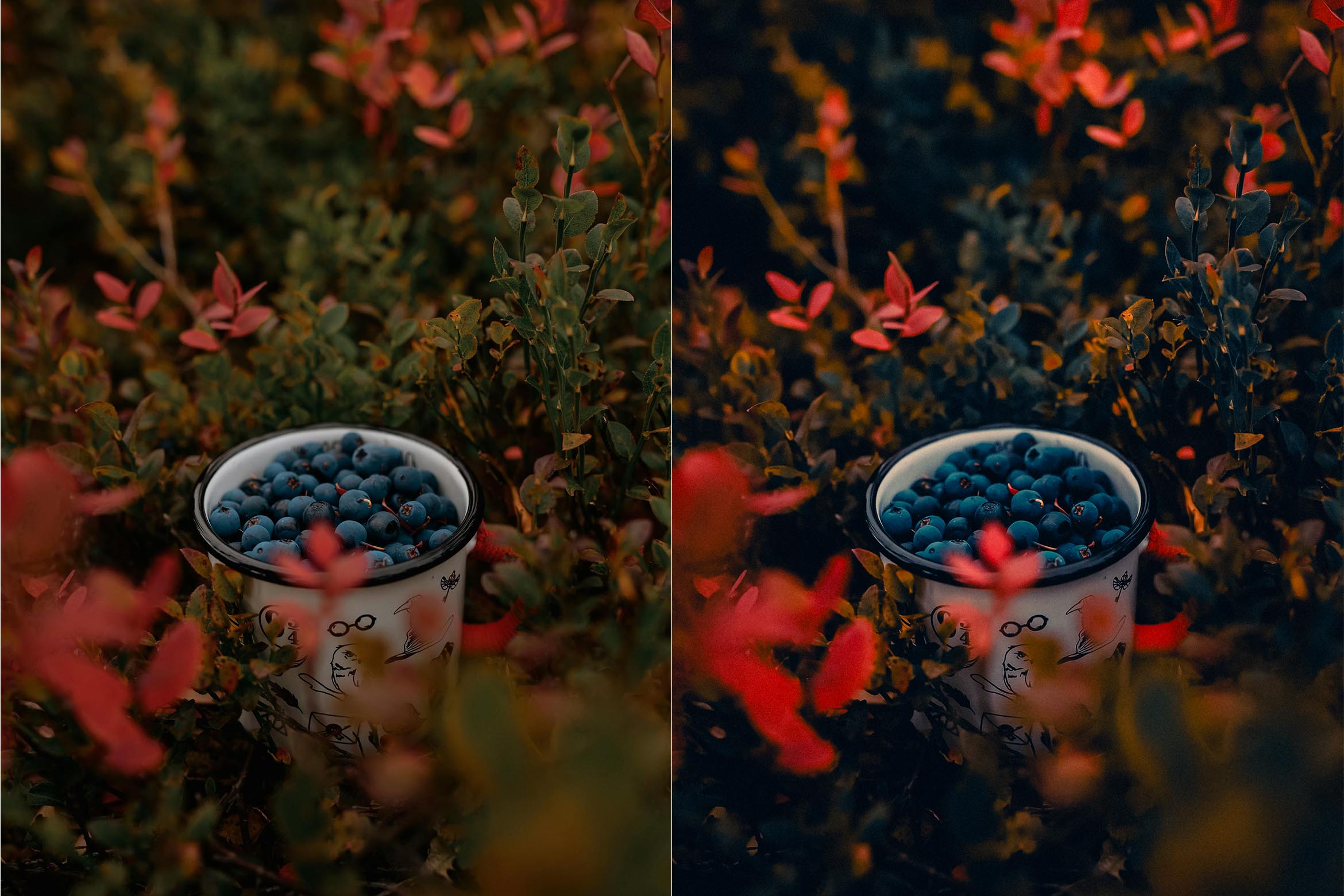 Cinematic Autumn Fall Lightroom Presets, Add-ons | GraphicRiver