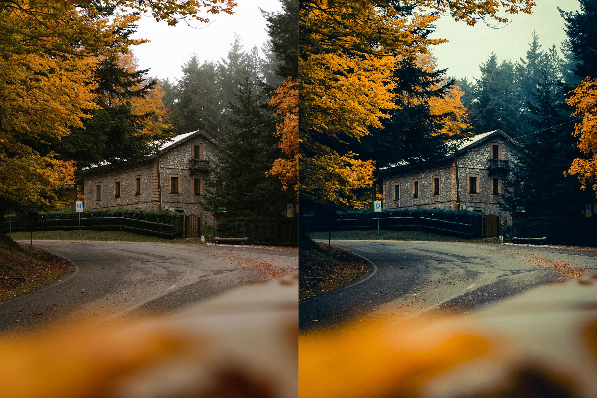 Cinematic Autumn Fall Lightroom Presets, Add-ons | GraphicRiver