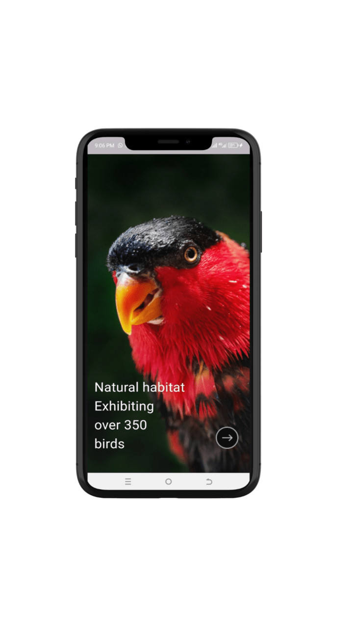 BirdBuy- Online Bird Buy App ||Flutter Mobile Template Full App ...